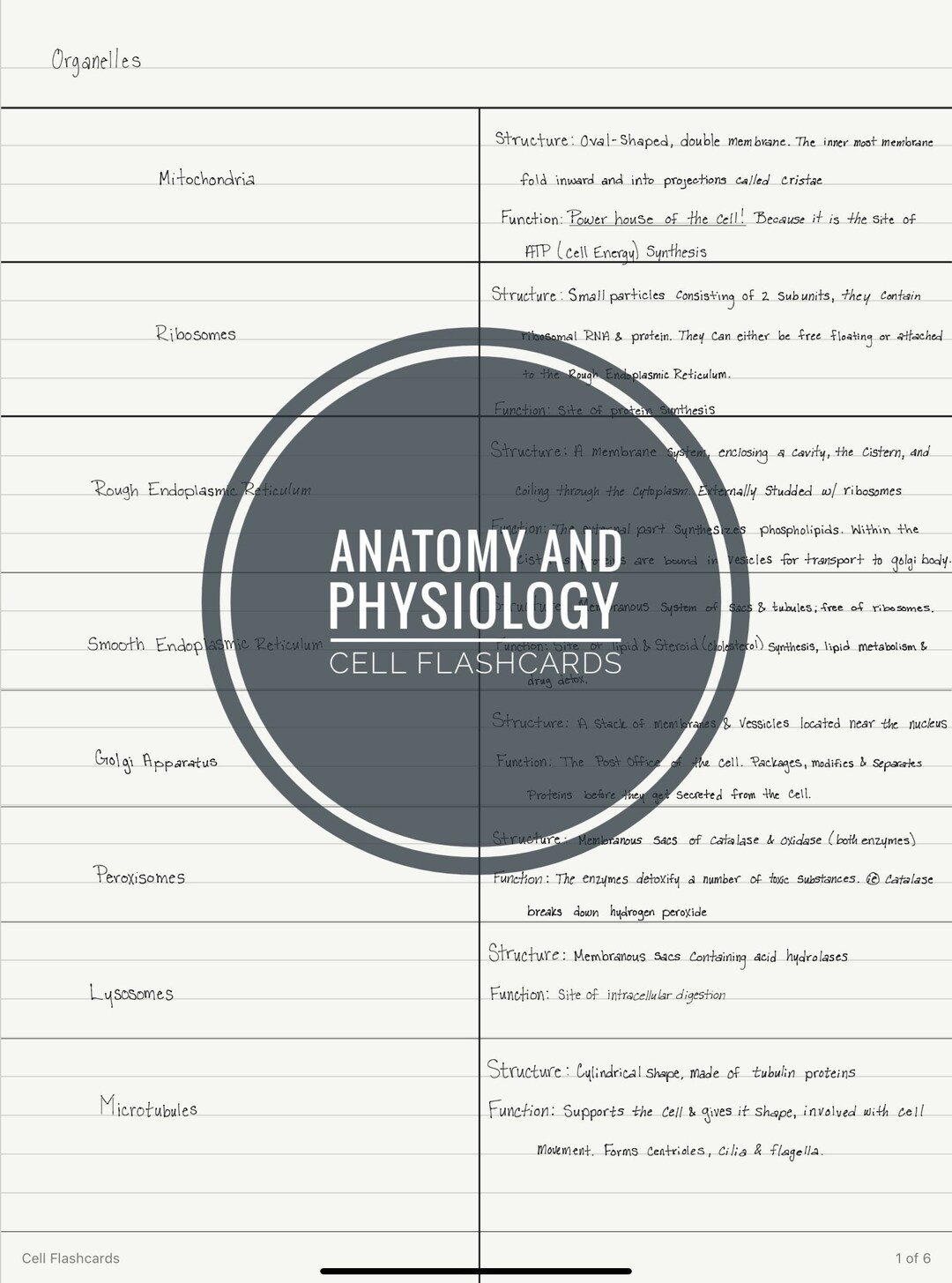 Anatomy & Physiology PDF Flash Cards; Cells - Etsy