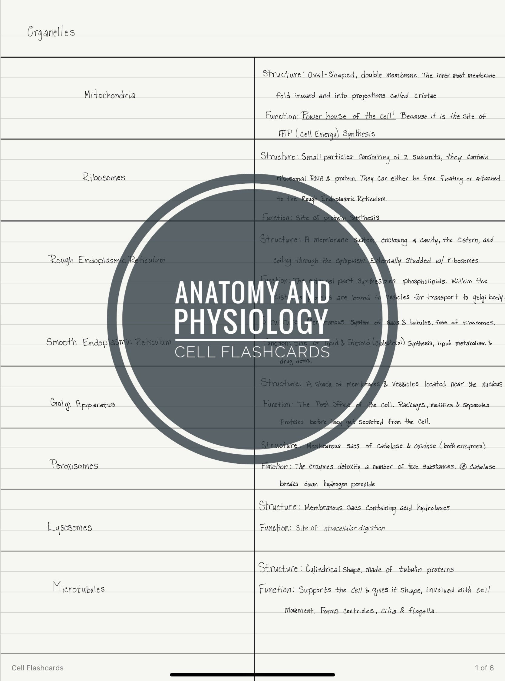 Anatomy & Physiology PDF Flash Cards; Cells - Etsy