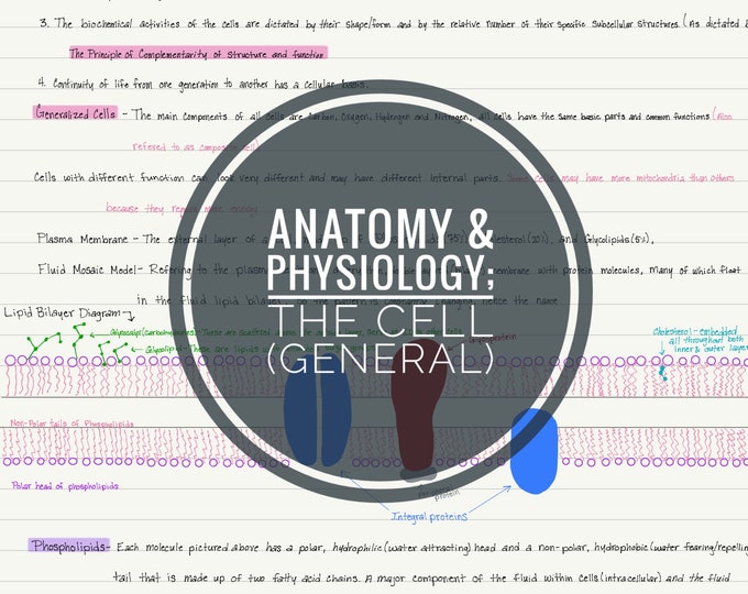 The Human Cell - Anatomy Guide - Etsy Canada