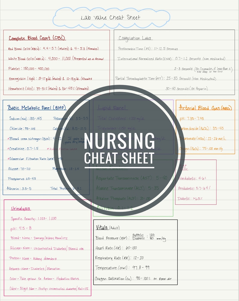 Nursing Notes Cheat Sheet Med Surg; PDF Printable Sheet - Etsy