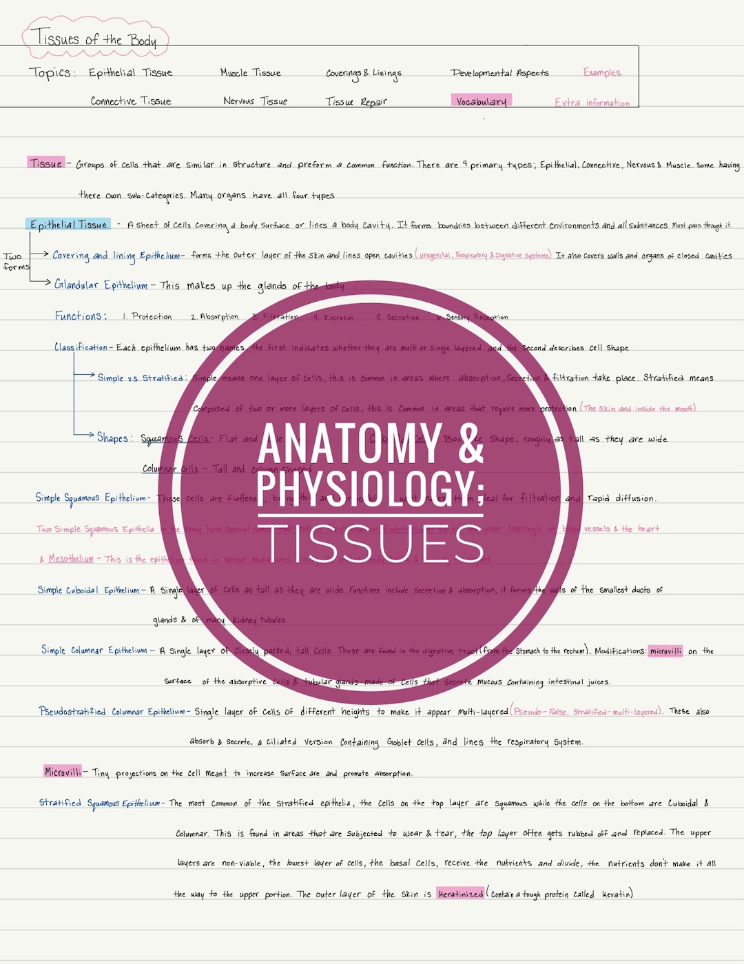 Anatomy & Physiology PDF Notes; Tissues - Etsy UK