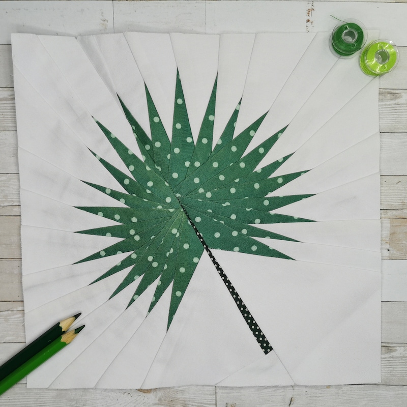 Fan Palm - Etsy