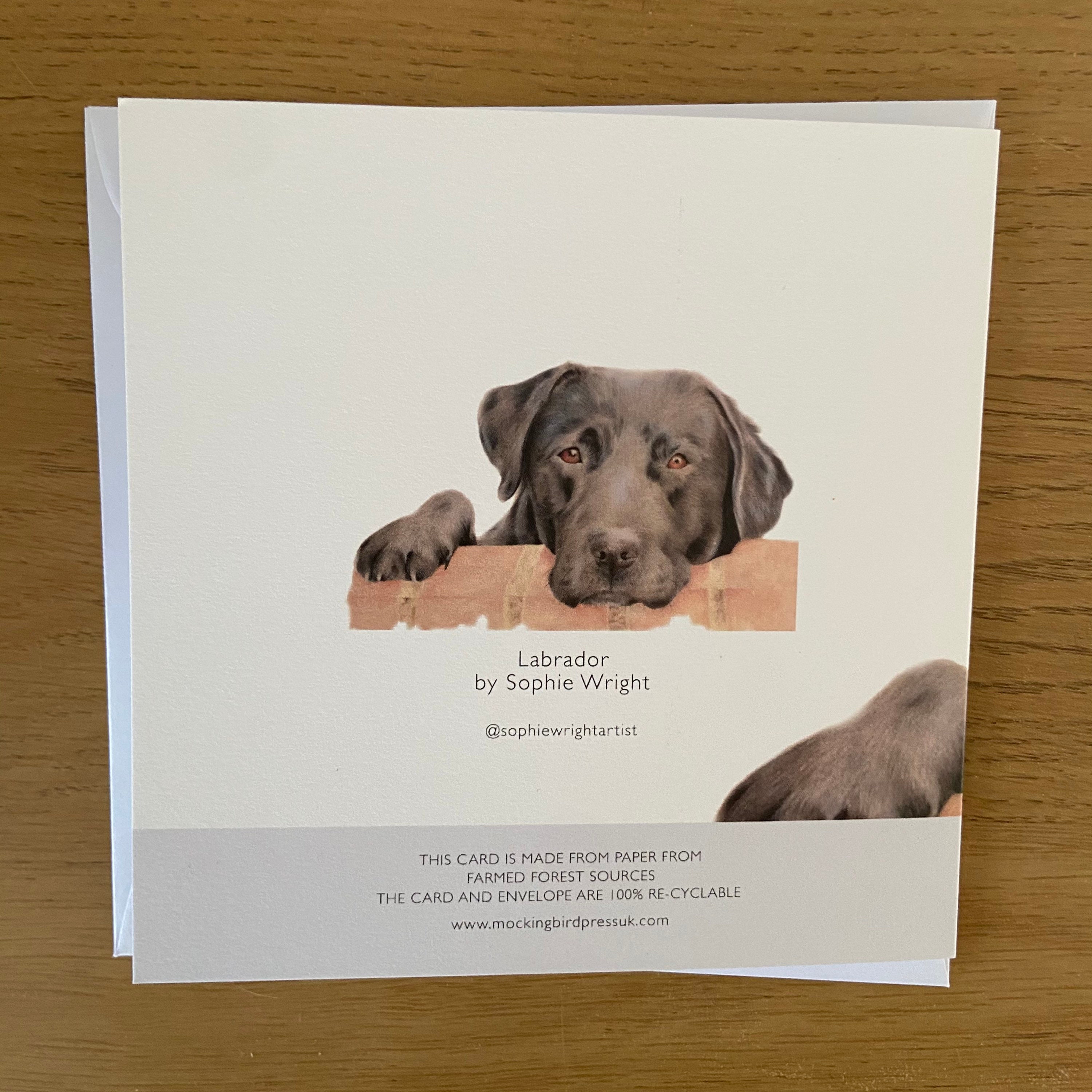 Labrador Greeting Card Dog Card Blank Cards Birthday - Etsy Italia