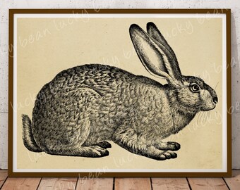 Vintage Rabbit Print | Etsy