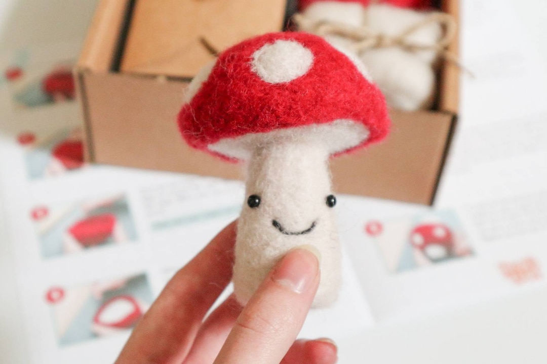 DIY Kit Woolly Toadstool Needle Felting - Beginners Craft Kit High ...
