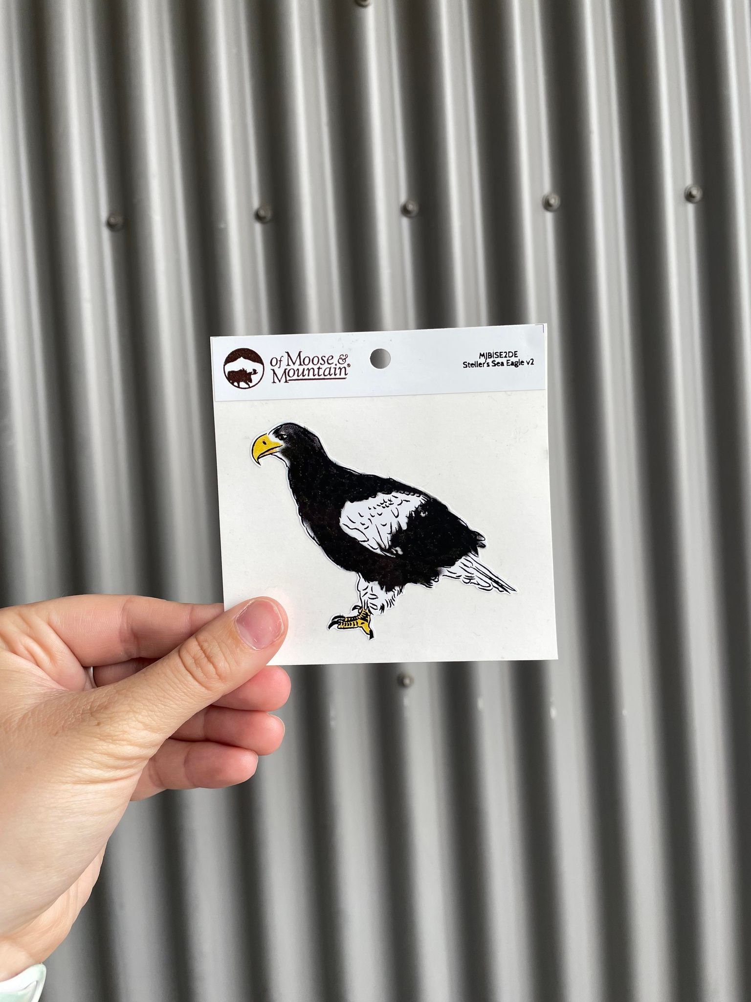 Steller's Sea Eagle Sticker/decal - Etsy