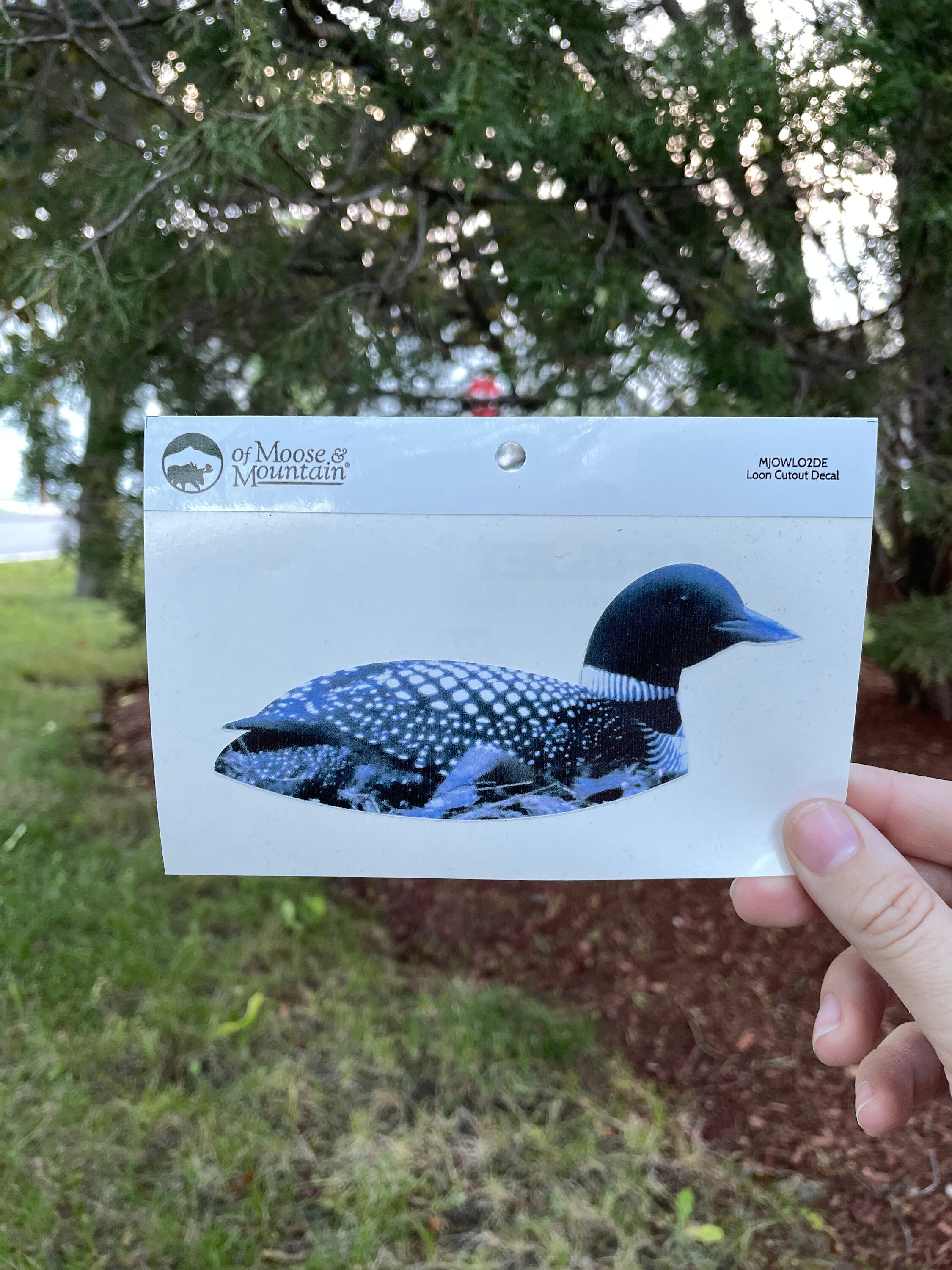 Loon Cutout Sticker/decal - Etsy