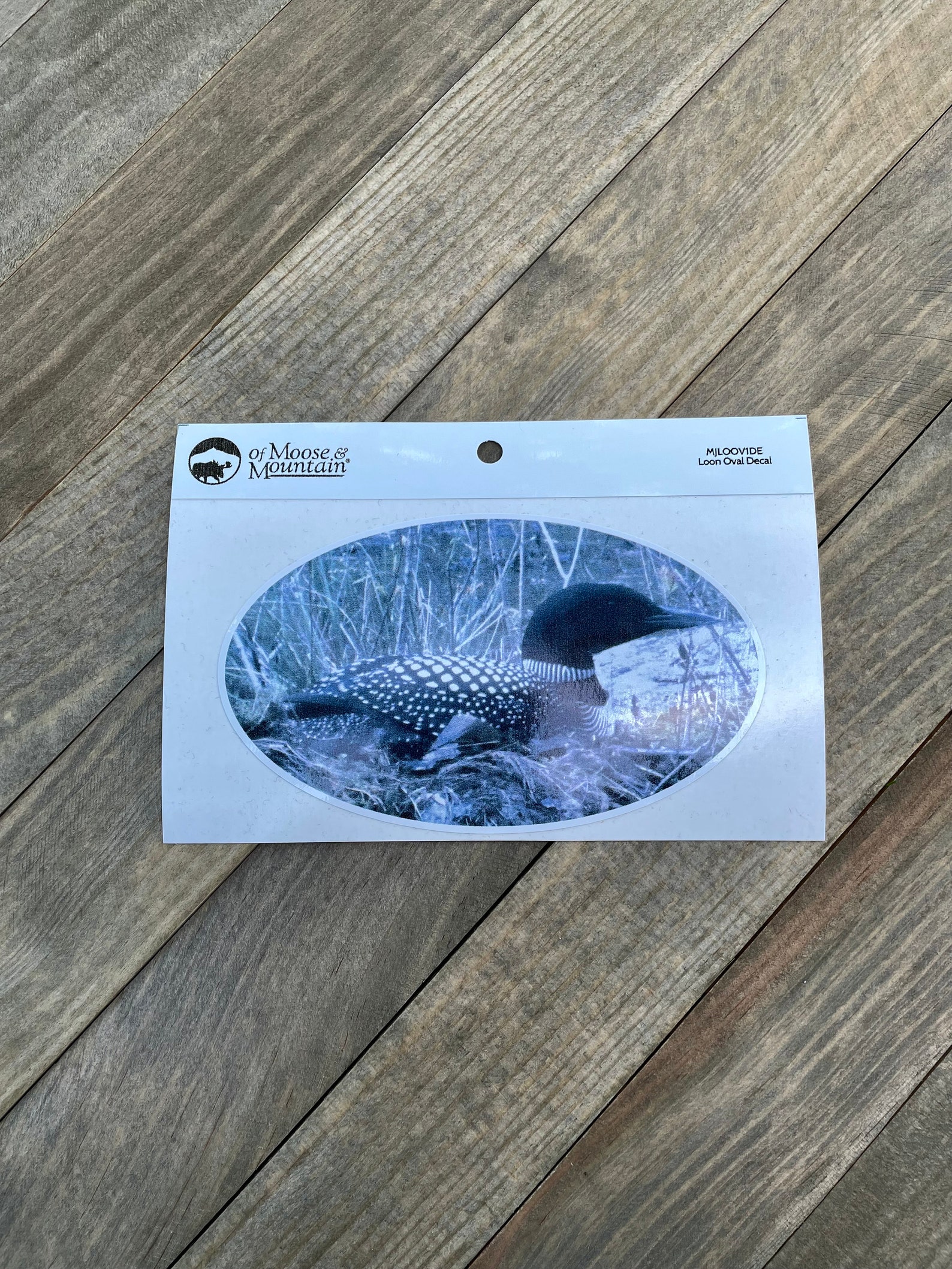 Loon Oval Sticker/decal - Etsy