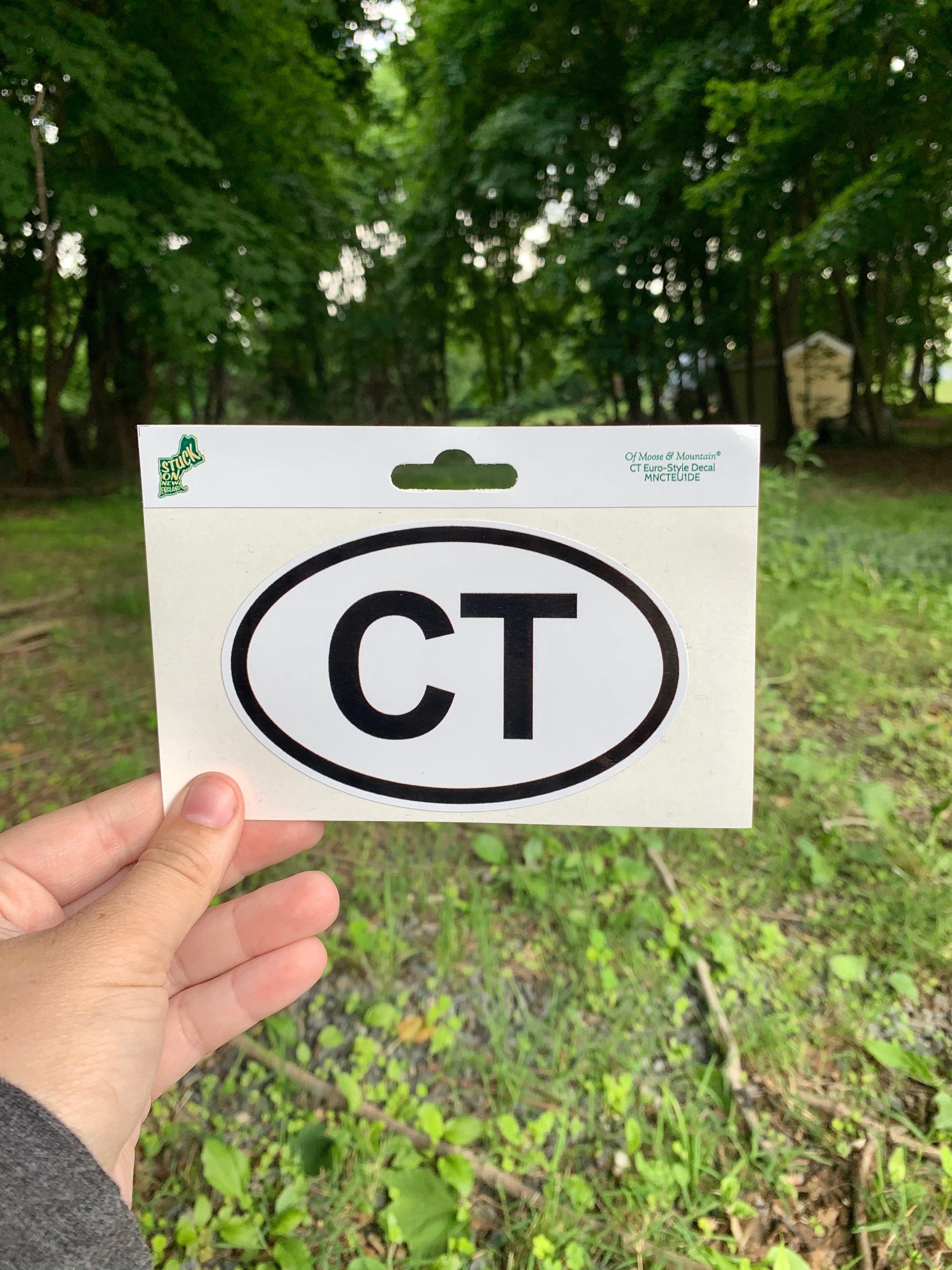 Connecticut CT Simple Black and White State Abbreviation Sticker/decal ...