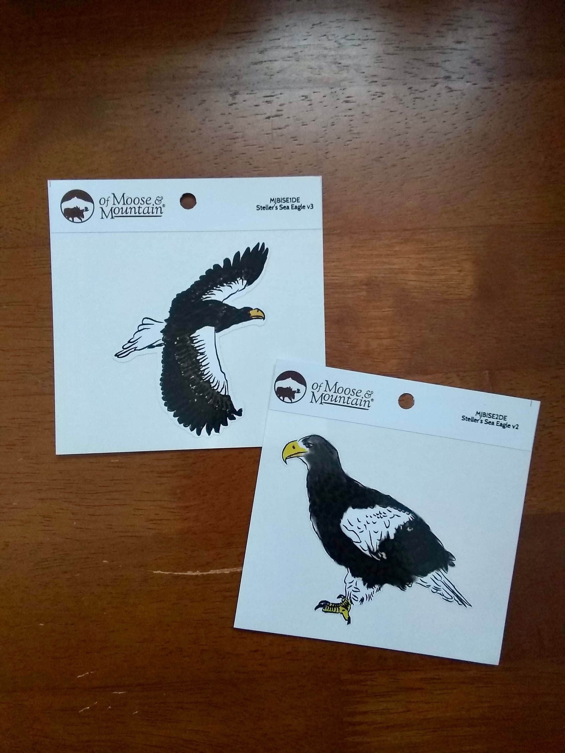 Steller's Sea Eagle Sticker/decal - Etsy
