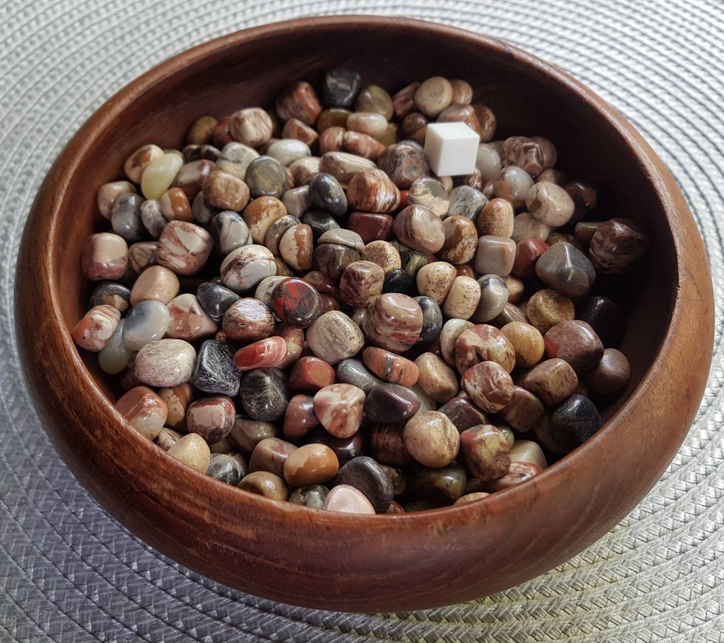 Xylopal Gemstone Undrilled Chips / Natural Xylopal Fossil - Etsy