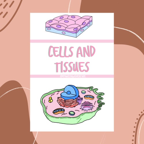 Types of Tissues Digital Study Guide Biology Study Notes - Etsy