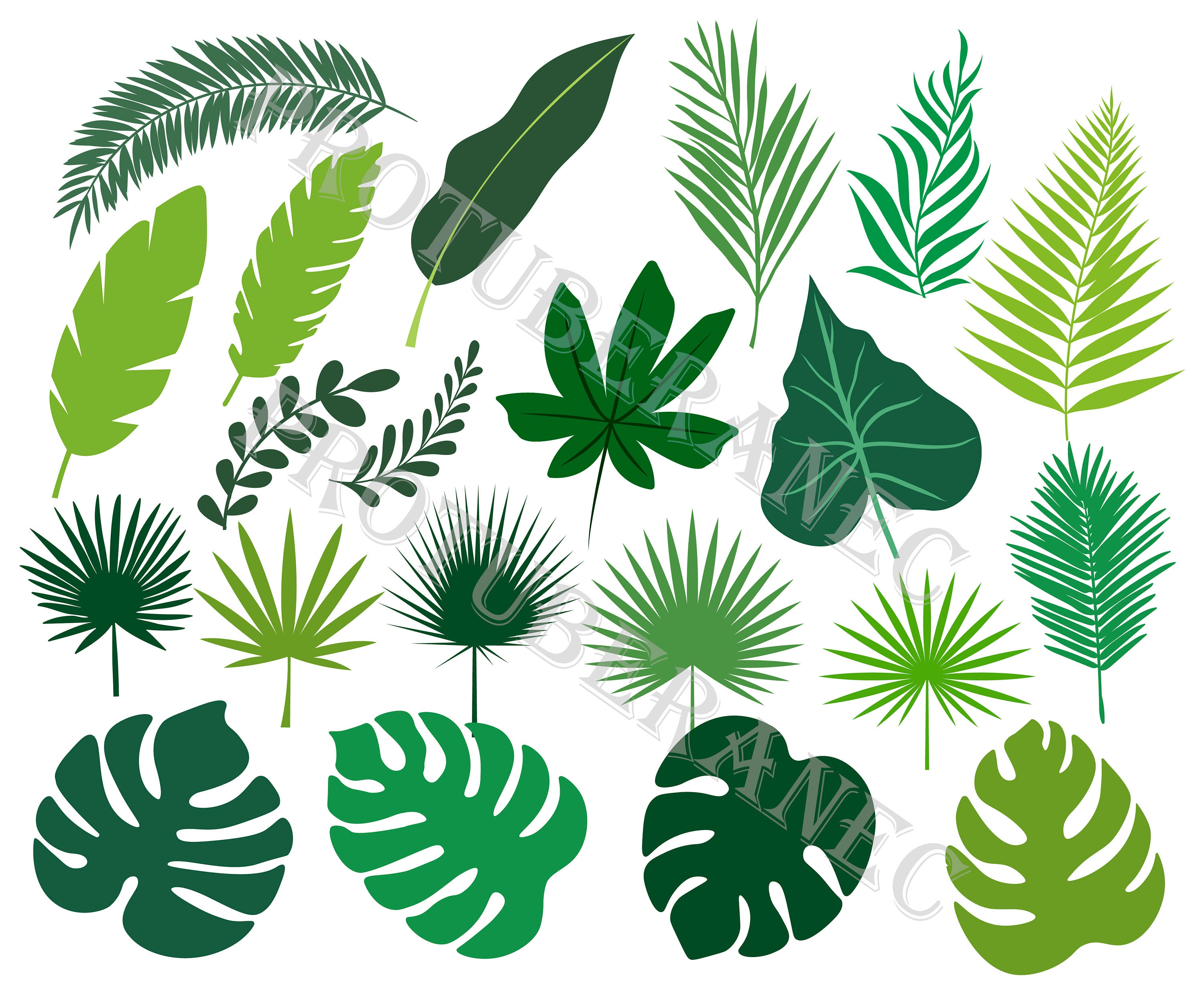 Feuilles tropicales svg Feuille tropicale Svg Monstera feuille | Etsy