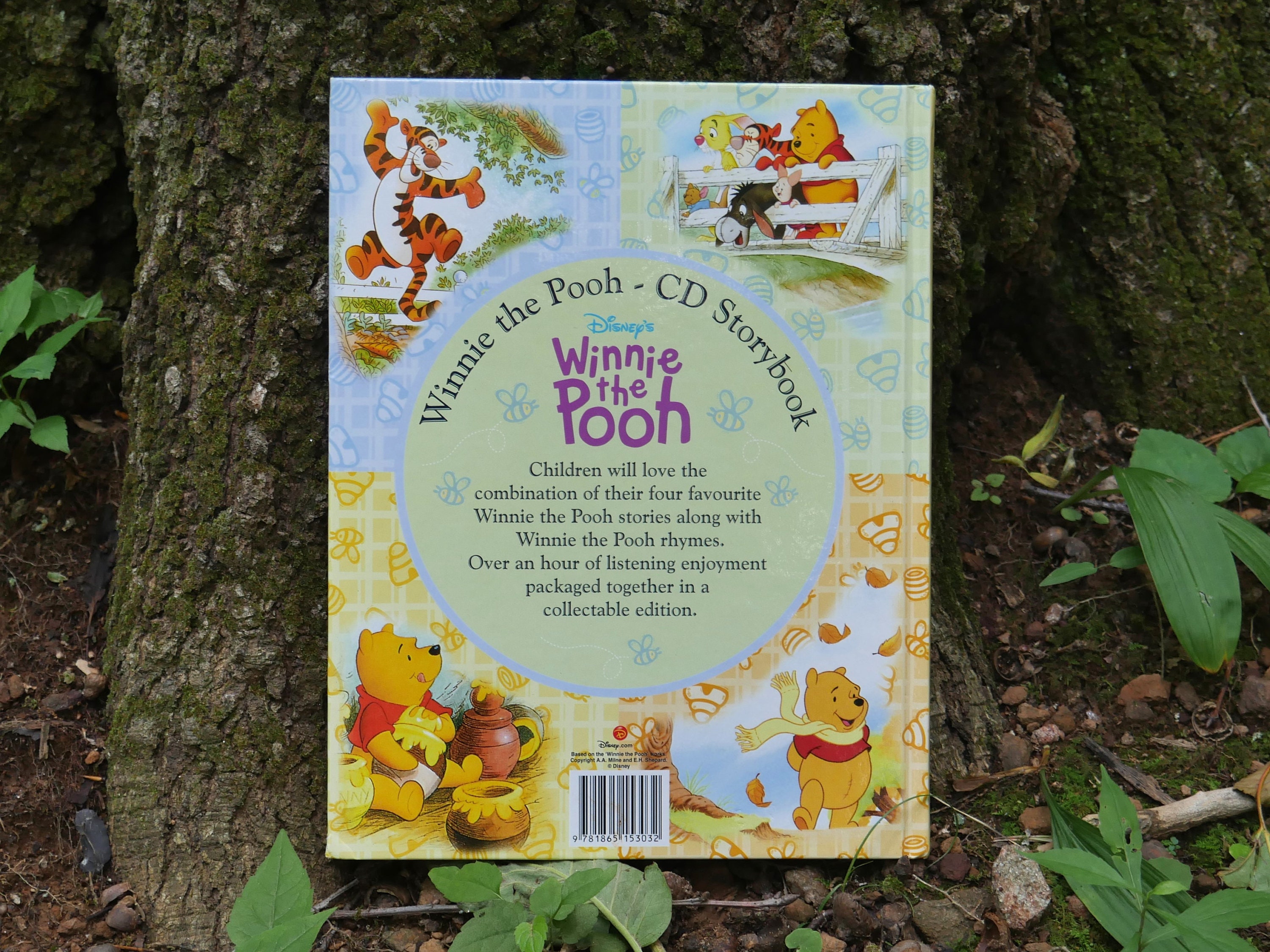 Winnie the Pooh CD Storybook Children's Book - Etsy