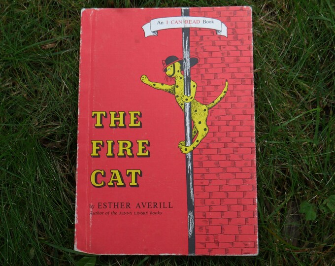 Rare 1960 the Fire Cat Children's Book - Etsy