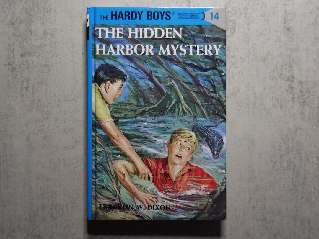 The Hardy Boys and the Hidden Harbor Mystery Children's Book - Etsy