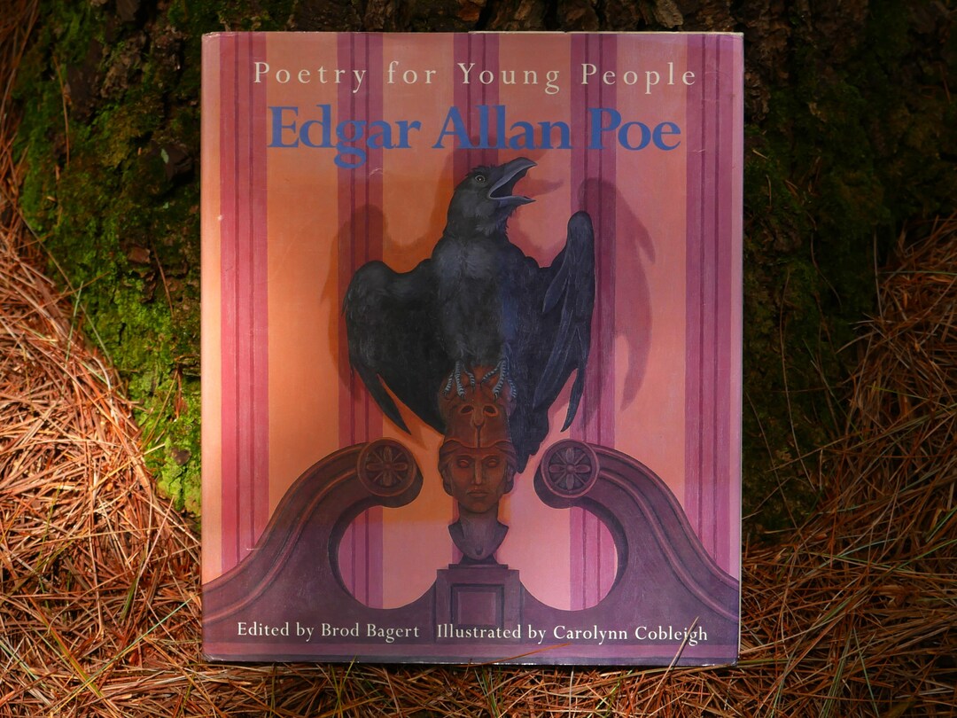 Poetry for Young People Edgar Allan Poe Children's Book - Etsy