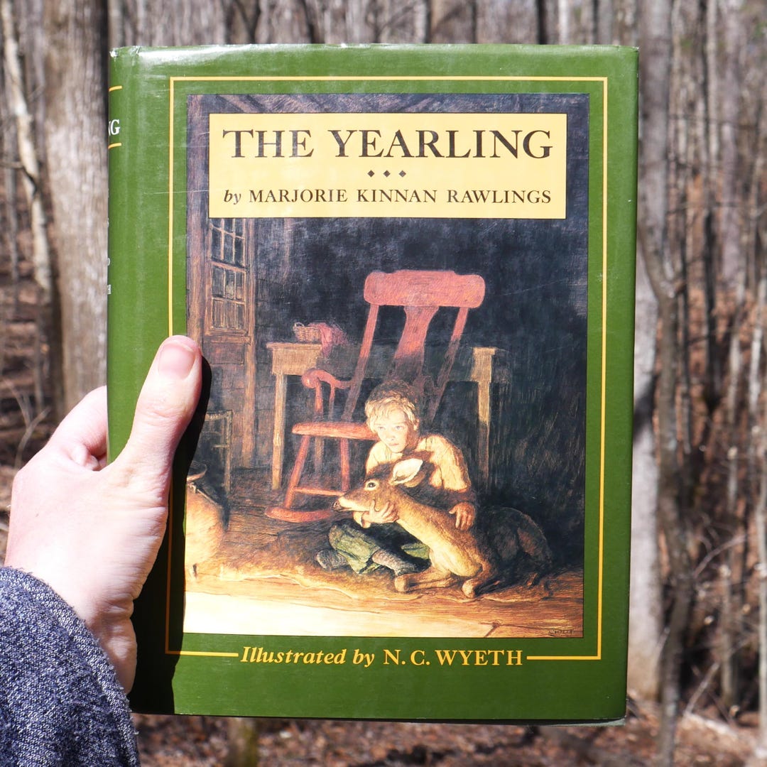 The Yearling by Marjorie Kinnan Rawlings Illustrated by N. C. Wyeth - Etsy