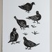Five Pigeons Linocut Print, Pigeons Lino Print, Dove Handprinted, Bird ...