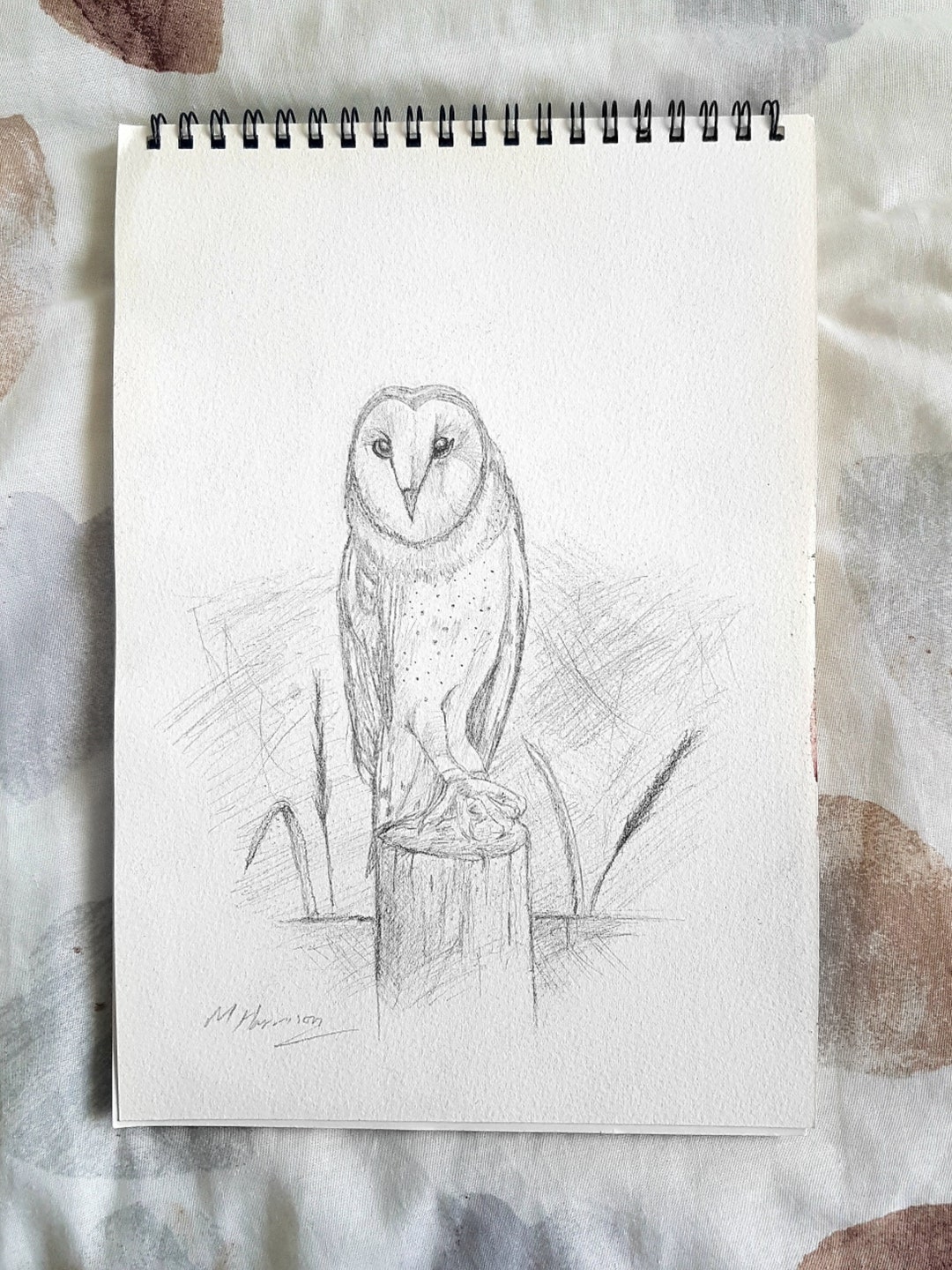 Barn Owl Silver Point Art Drawing Print A4 Unframed Wildlife Art Print ...