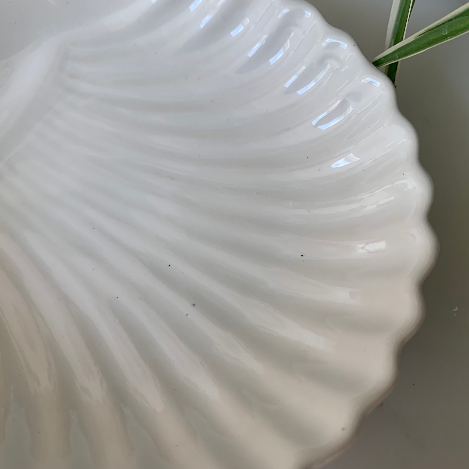 Ceramic Glazed White Scallop Shell Dish / Trinket Bedroom / - Etsy UK