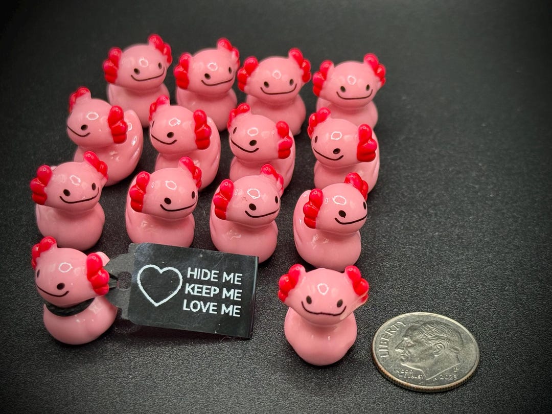 Mini Axolotl Duck: .71" Pink Collectible Cruise Duck - Etsy