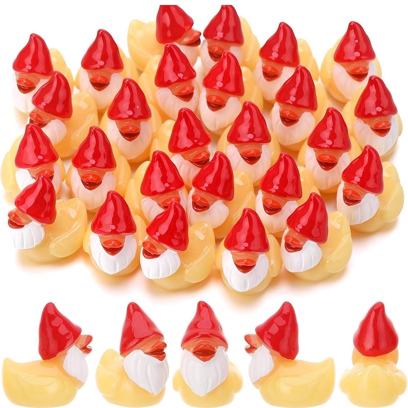 Mini Gnome Ducks With Custom Tags (magnets or Suction Cups) - Etsy