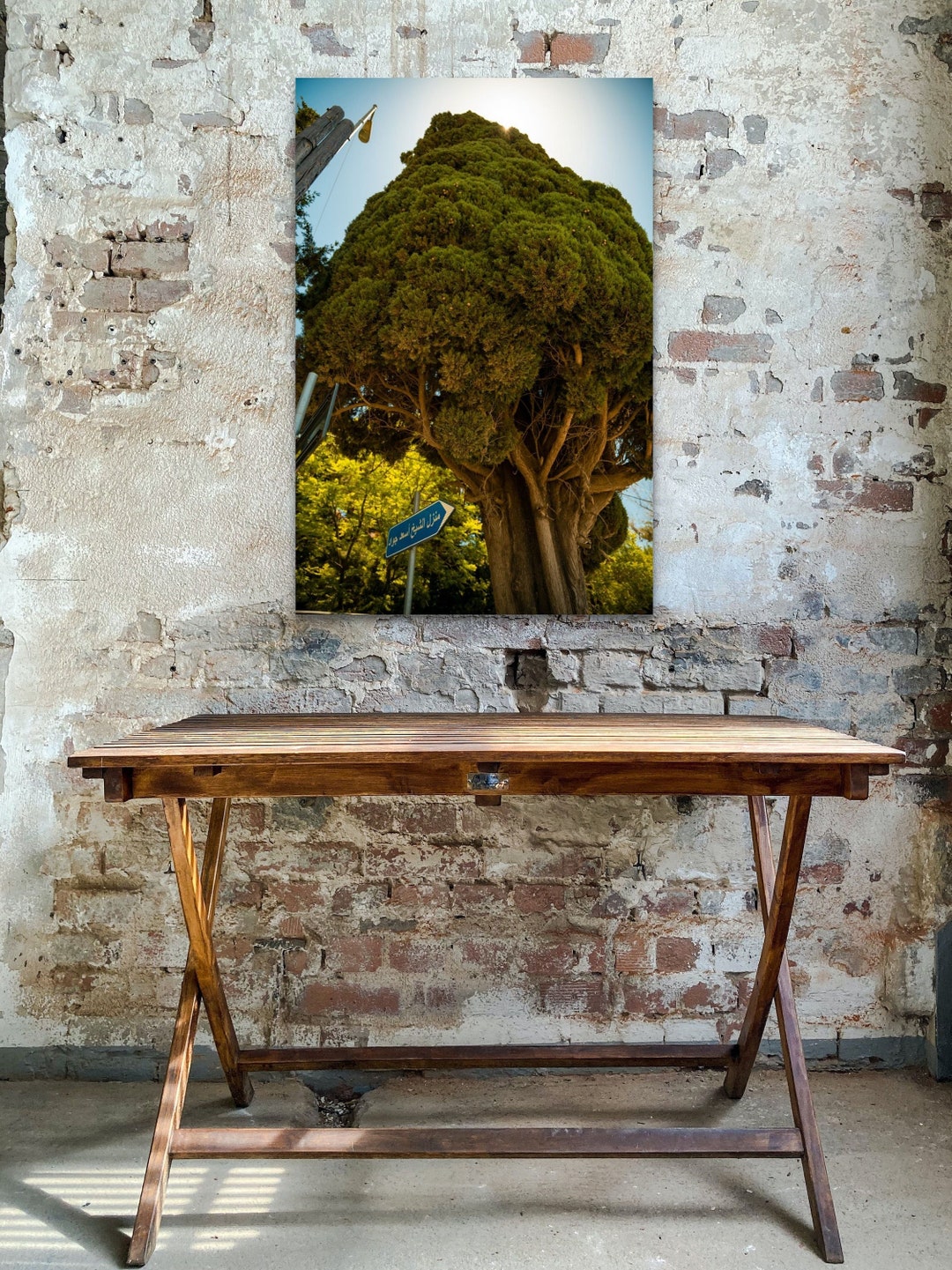 Lebanon Tree Canvas (.75in), Nature Wall Art, Lebanon Village, Lebanon ...
