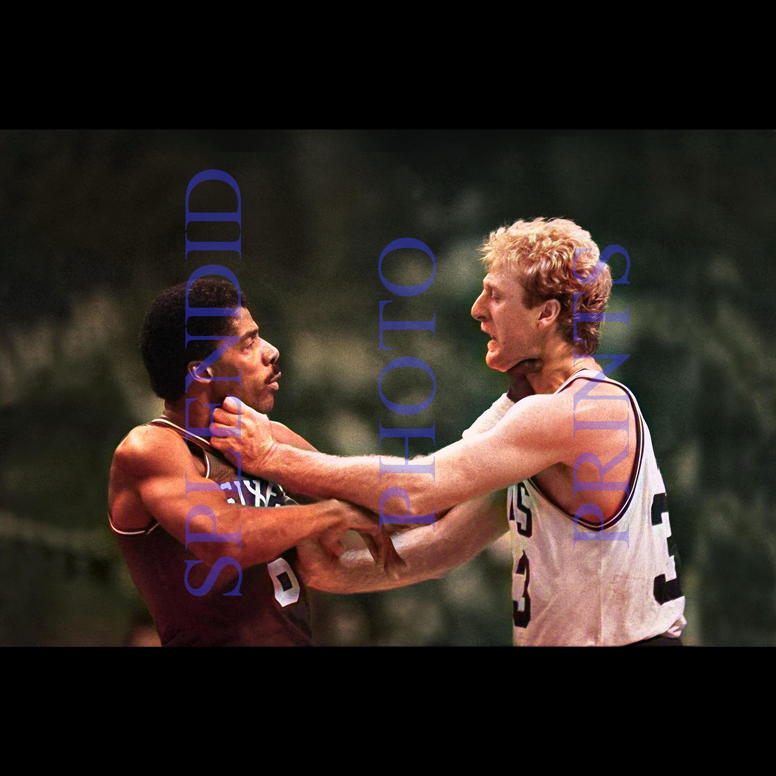 Larry Bird Boston Celtics Julius Erving Fight US Professional ...