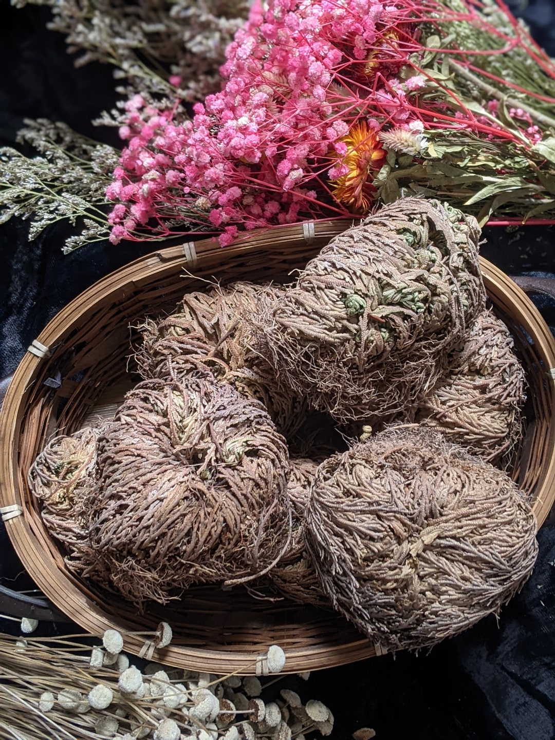 JERICHO FLOWER RESURRECTION Plant, Rose of Jericho, - Etsy