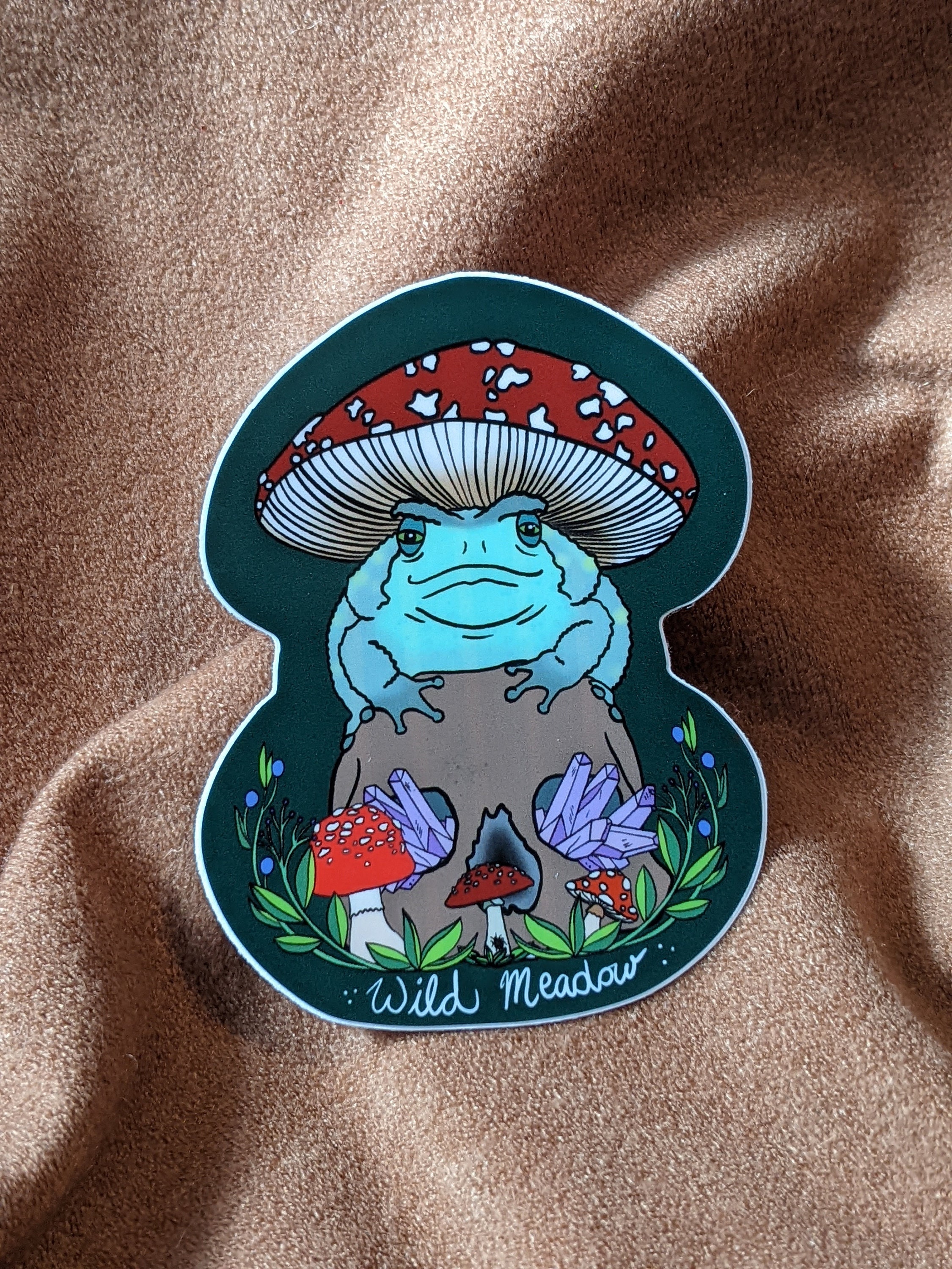 Cottagecore frog weather resistant vinyl Skull Crystals ORIGINAL ART ...