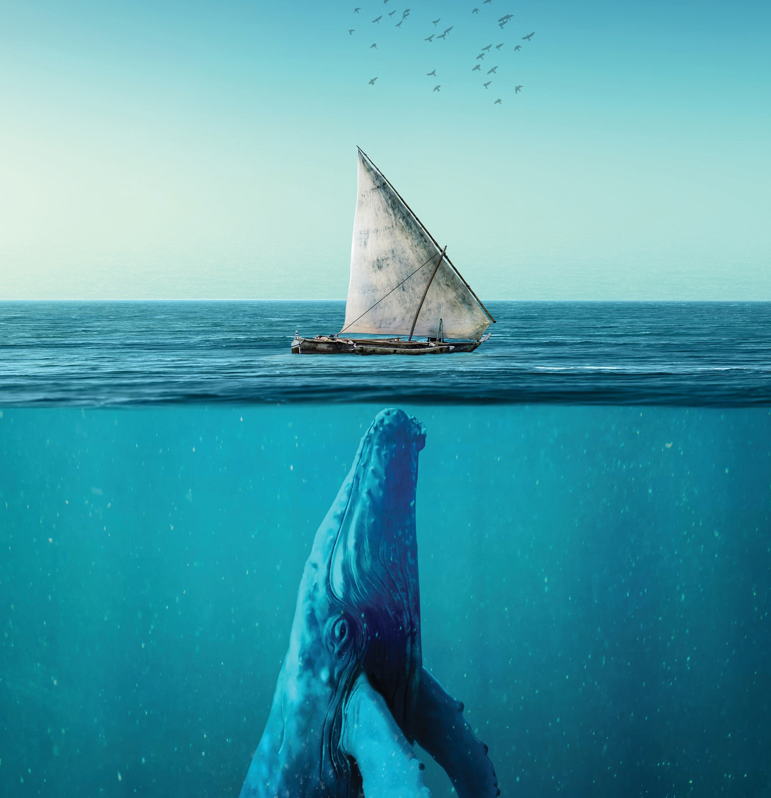 Whale Printable Whale Print Poster Blue Whale Art Whale | Etsy