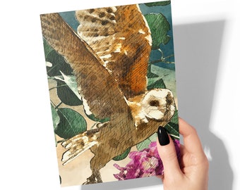 Owl Postcards - Etsy