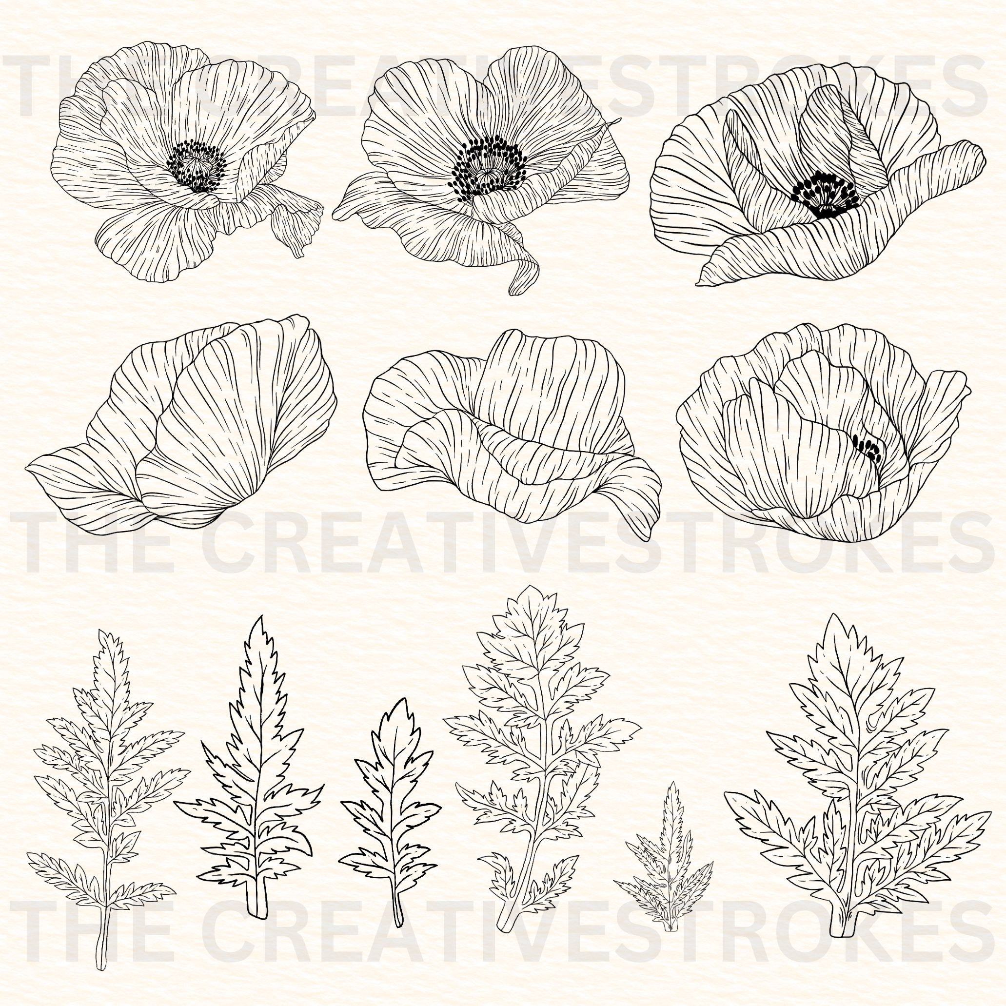 Poppy Line Art Poppy Svg Poppy Png Botanical Line Art Floral - Etsy