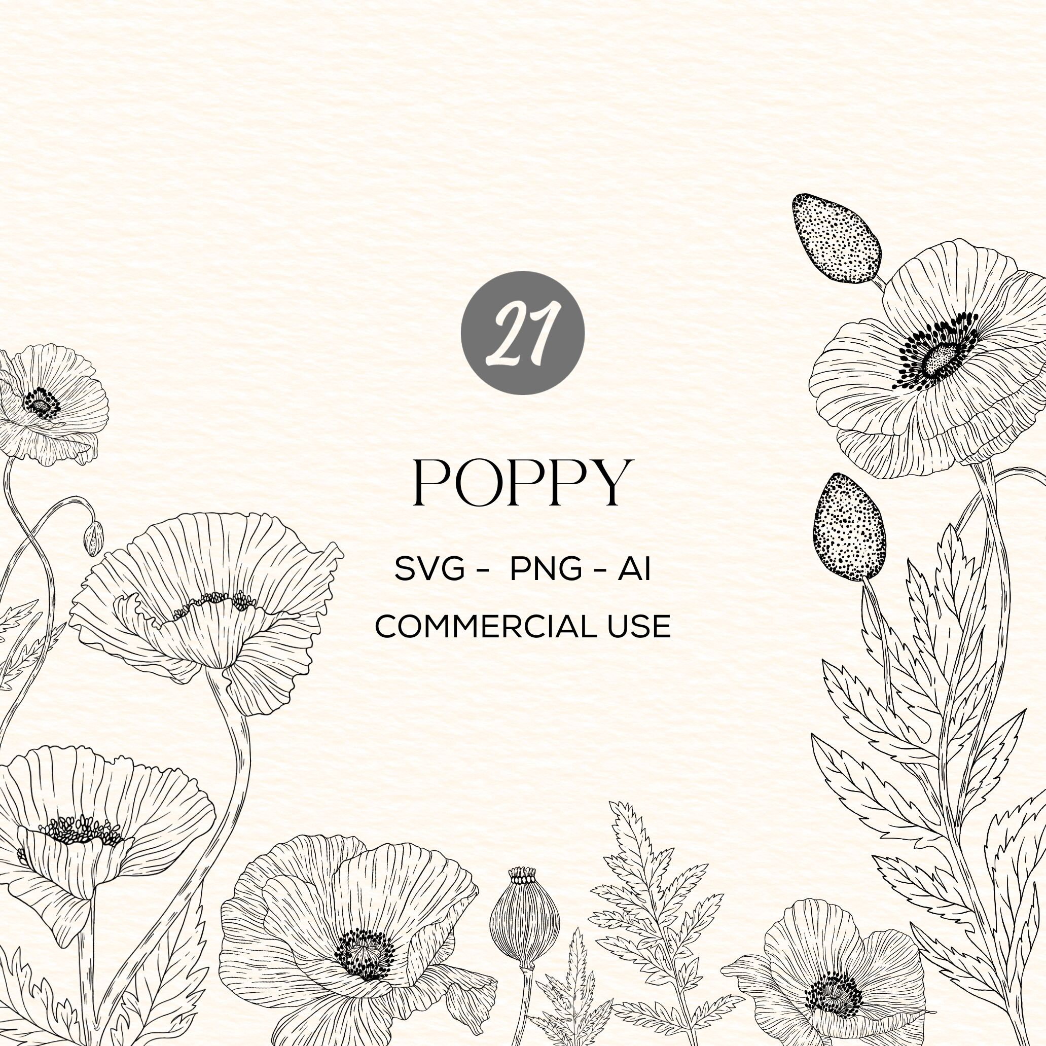 Poppy Line Art Poppy Svg Poppy Png Botanical Line Art Floral - Etsy