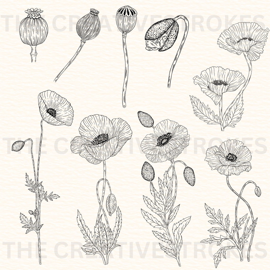 Poppy Line Art Poppy Svg Poppy Png Botanical Line Art Floral - Etsy