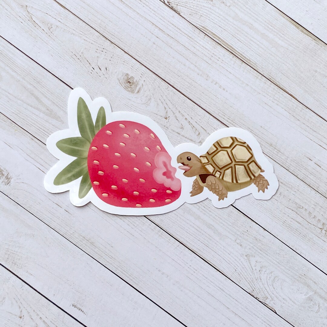 Turtle Eating a Strawberry - Weatherproof Sticker - Etsy