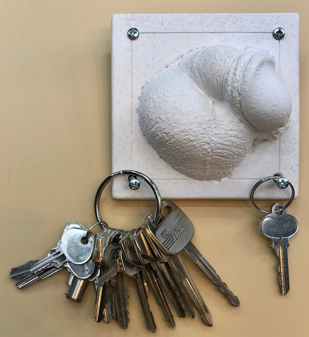 Penis at Rest Erotic Art Object Home Decor Key Wall - Etsy