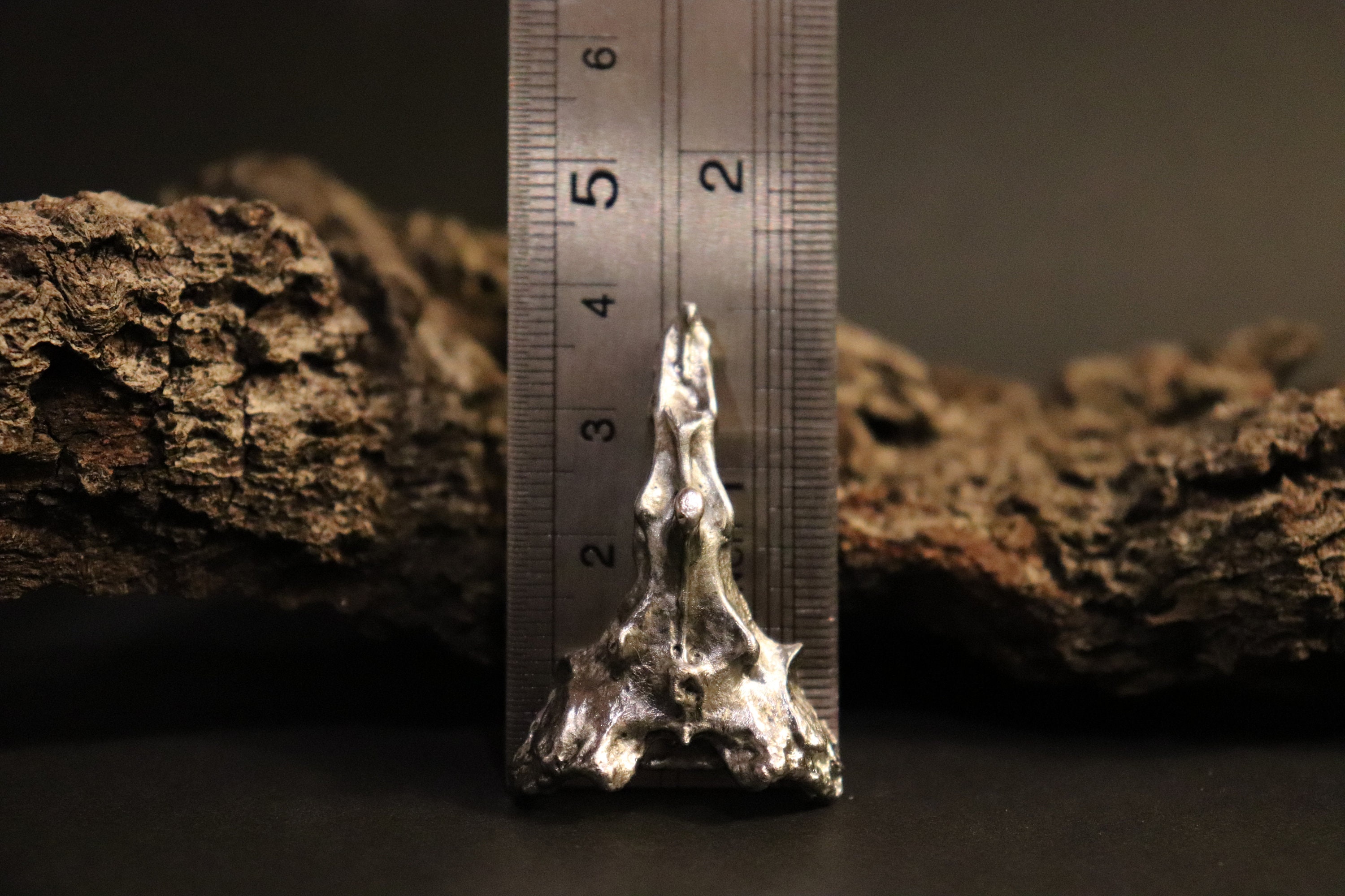 Rabbit Tail Bone Pewter Metal Charm / Token Handmade Vulture | Etsy