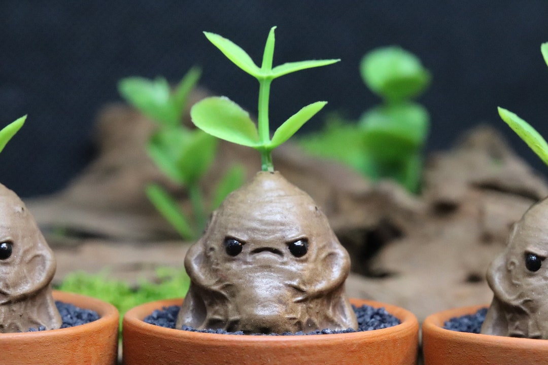 Mini Mandrake Plant | Stylized Baby Mandragora | Magic Herbology and ...