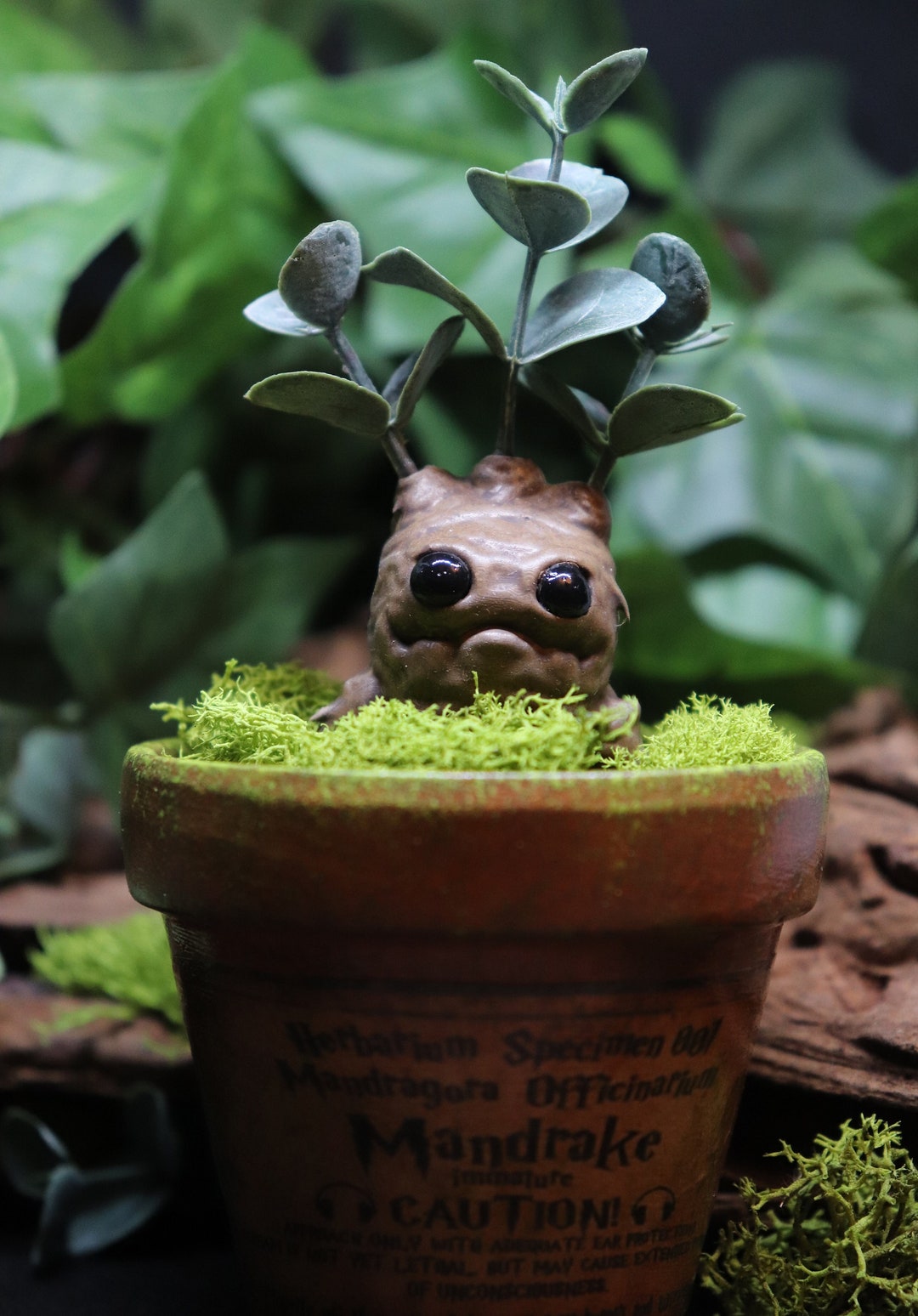 Mandrake Plant Stylized Baby Mandragora Magic Herbology and Botany Herb ...