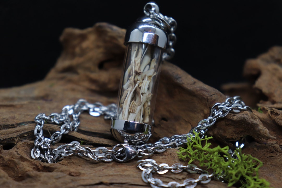 Glass Test Tube Pendant With Mouse Bones Vulture Culture Fashion ...