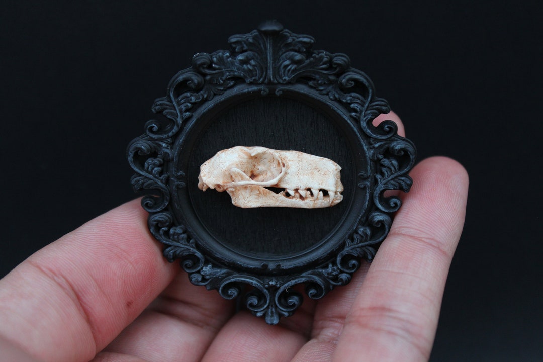 Miniature Bat Skull Resin Replica in Gothic Frame Oddity 3D Printed ...
