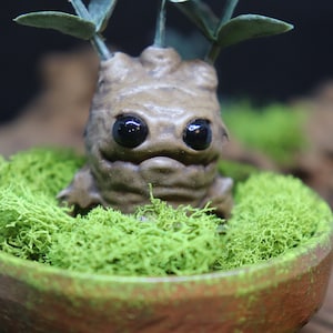 Mandrake Plant Stylized Baby Mandragora Magic Herbology and Botany Herb ...