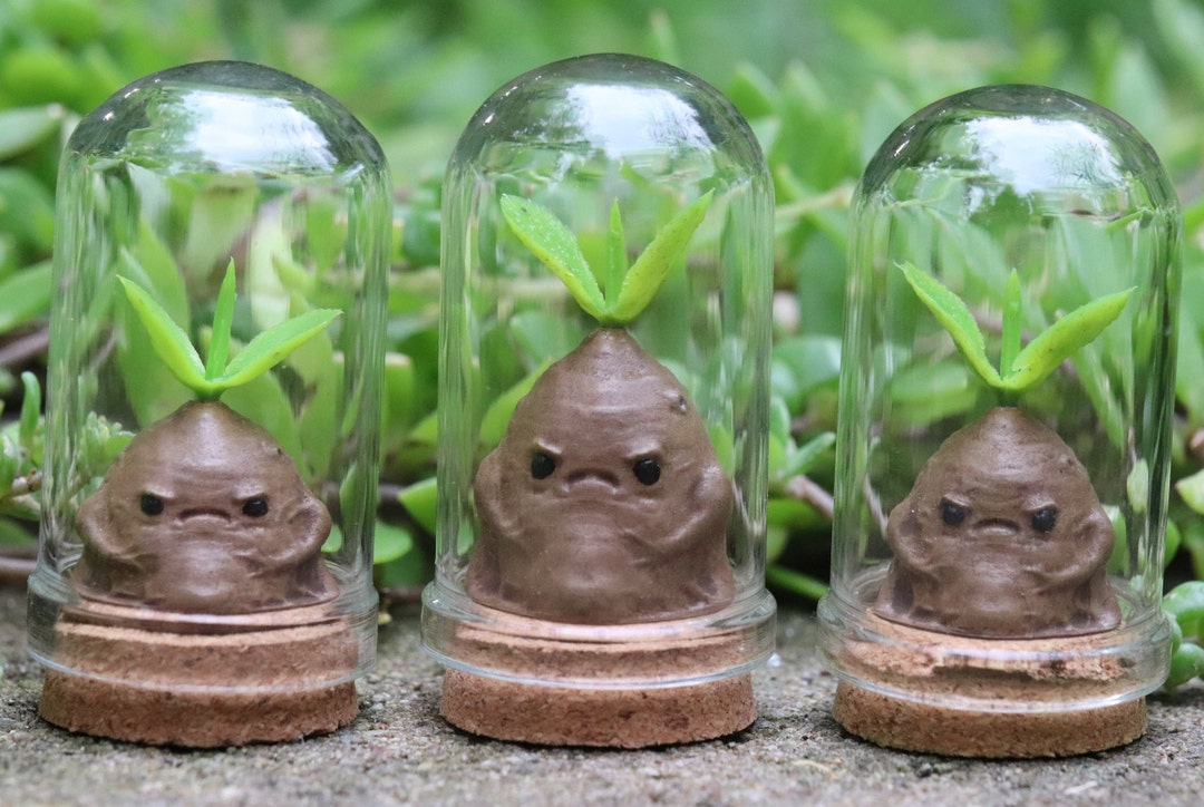 Mini Mandrake Plant in Glass Vial Stylized Baby Mandragora Magic ...