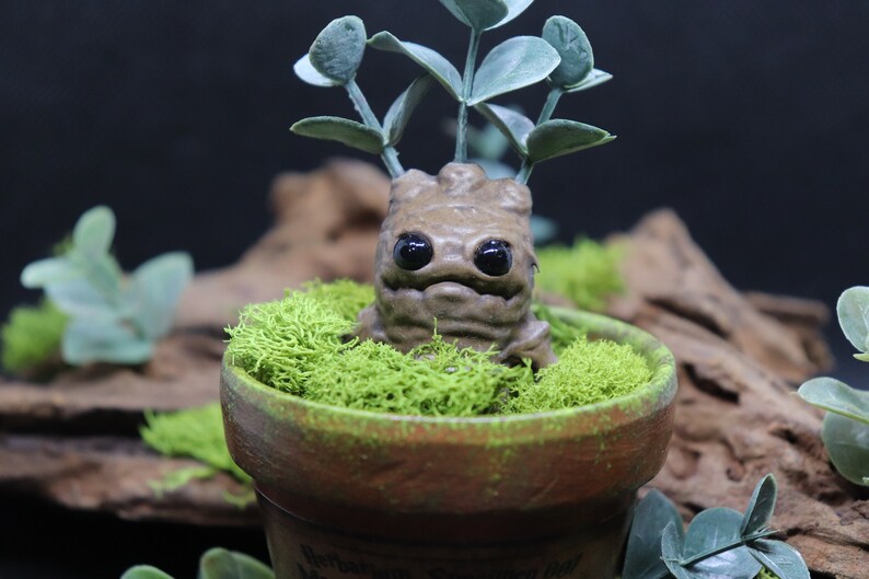 Mandrake Plant Stylized Baby Mandragora Magic Herbology - Etsy