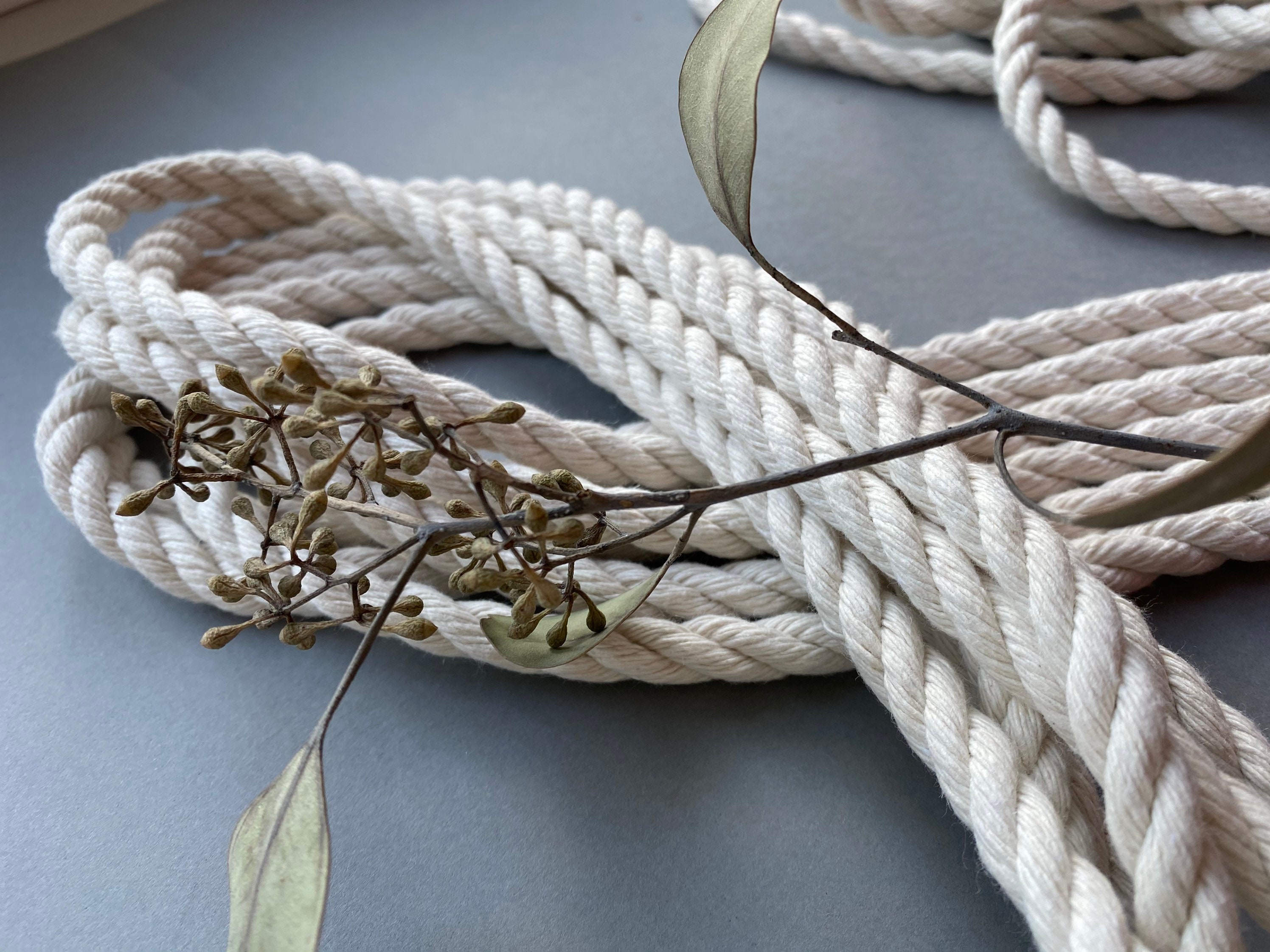 White 8 Mm Twisted Cotton Rope, 10 Meters Natural Rope. Planthanger ...