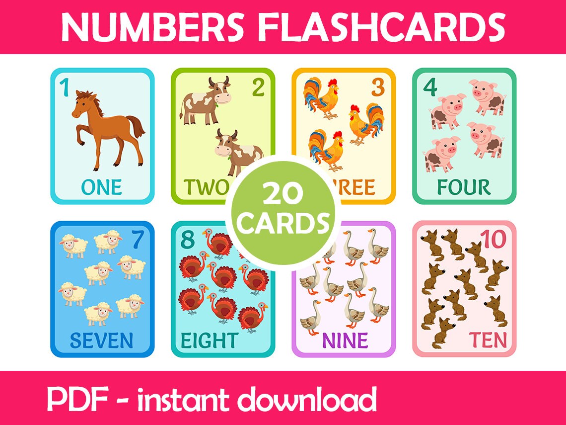 Animals Number Flash Cards Preschool Kindergarten | Etsy