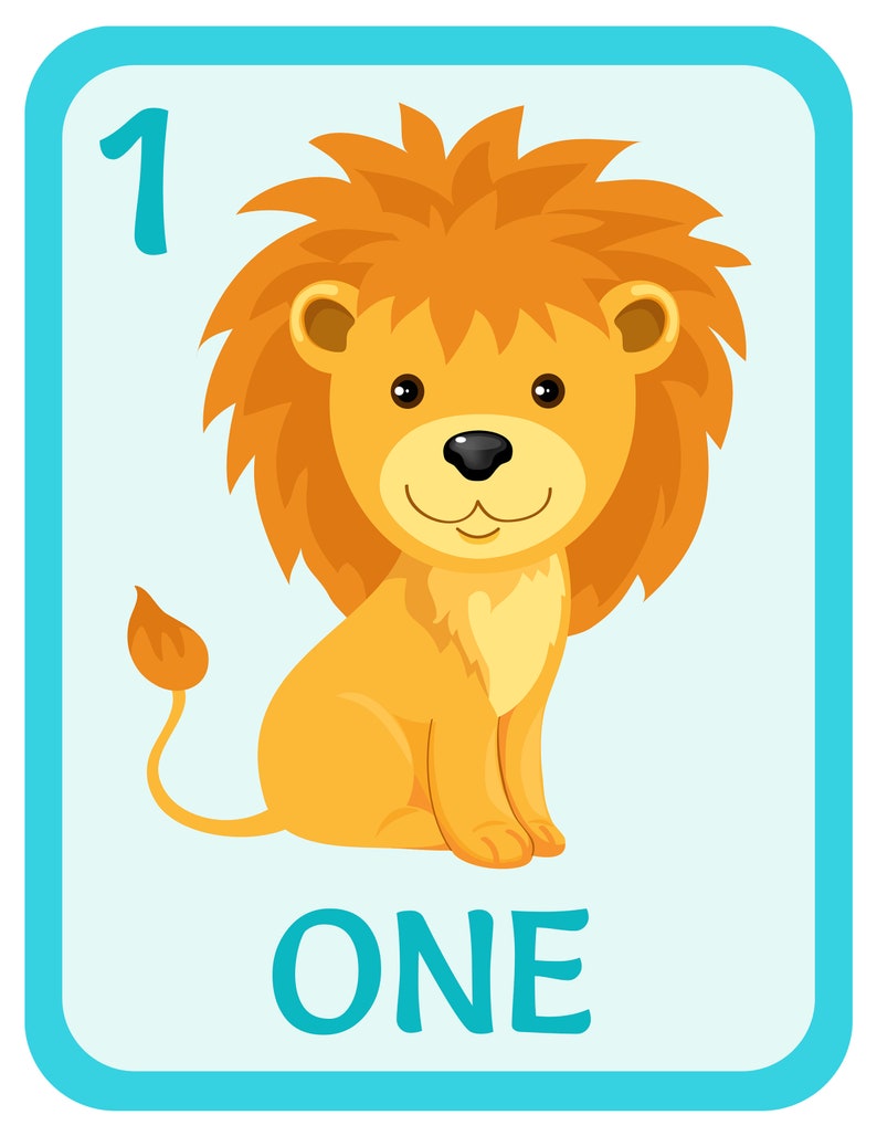 Wild Animals Number Flash Cards Preschool Kindergarten | Etsy