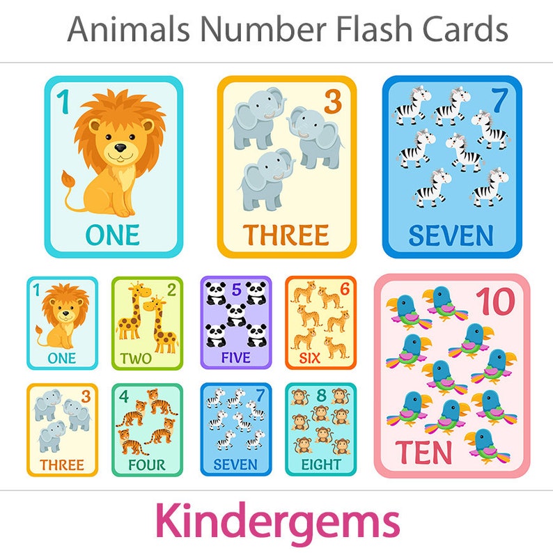 Wild Animals Number Flash Cards Preschool Kindergarten | Etsy